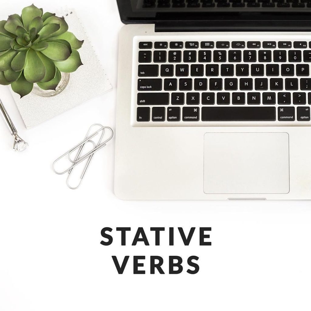 Stative Verbs: The Verbs That Makes a "State"ment - Lisa Is Write For You!